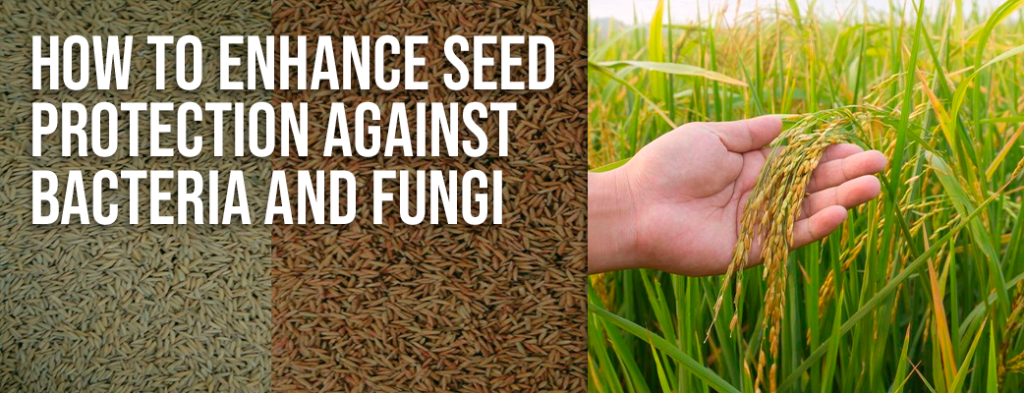 How to enhance seed protection against bacteria and fungi – MAI Caribbean